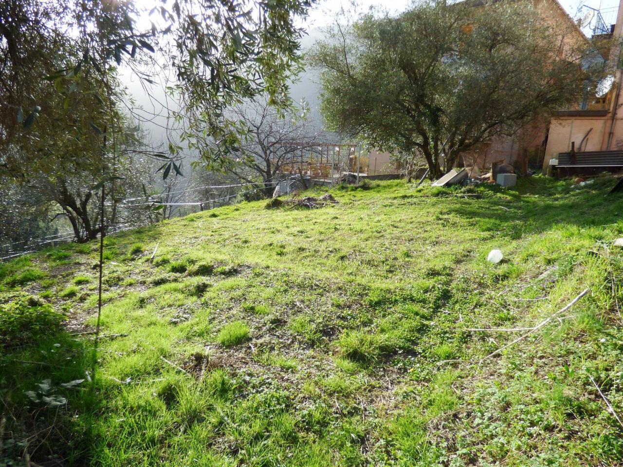 Appartamento in vendita a Neirone