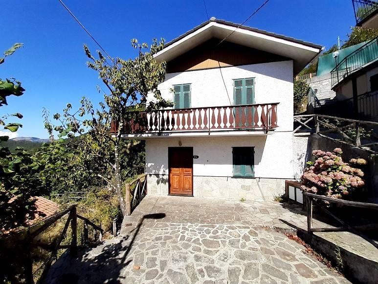 Villa in vendita a Neirone