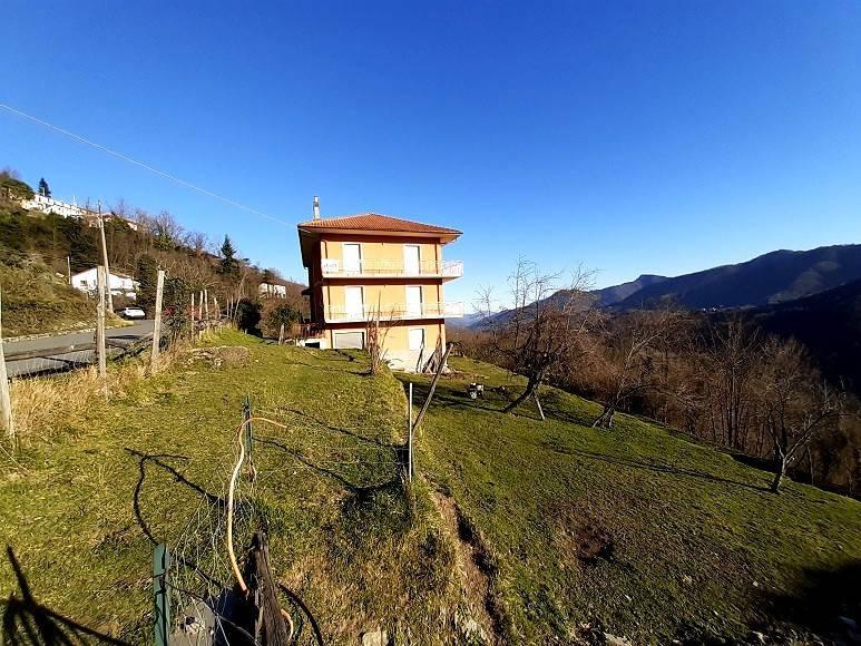 Villa in vendita a Neirone