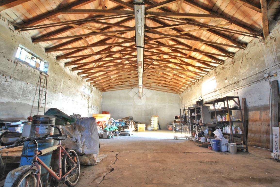 Capannone in affitto a Saluggia