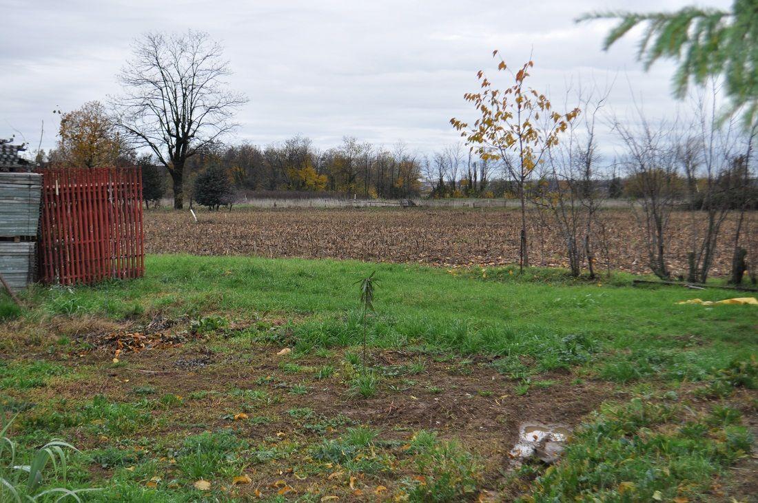Terreno agricolo in vendita a Bonate Sopra