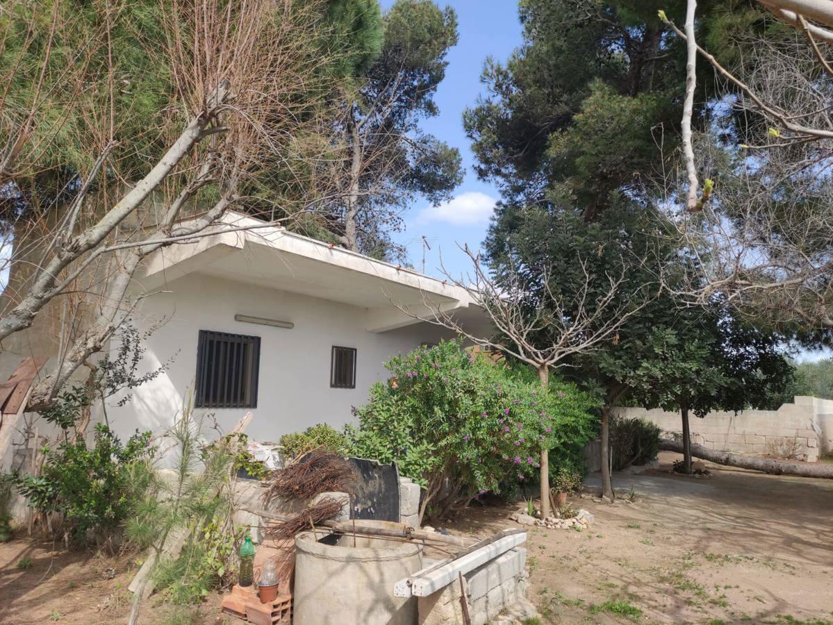 Casa indipendente in vendita a Torricella
