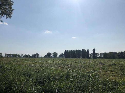 Terreno agricolo in vendita a Terranova Dei Passerini