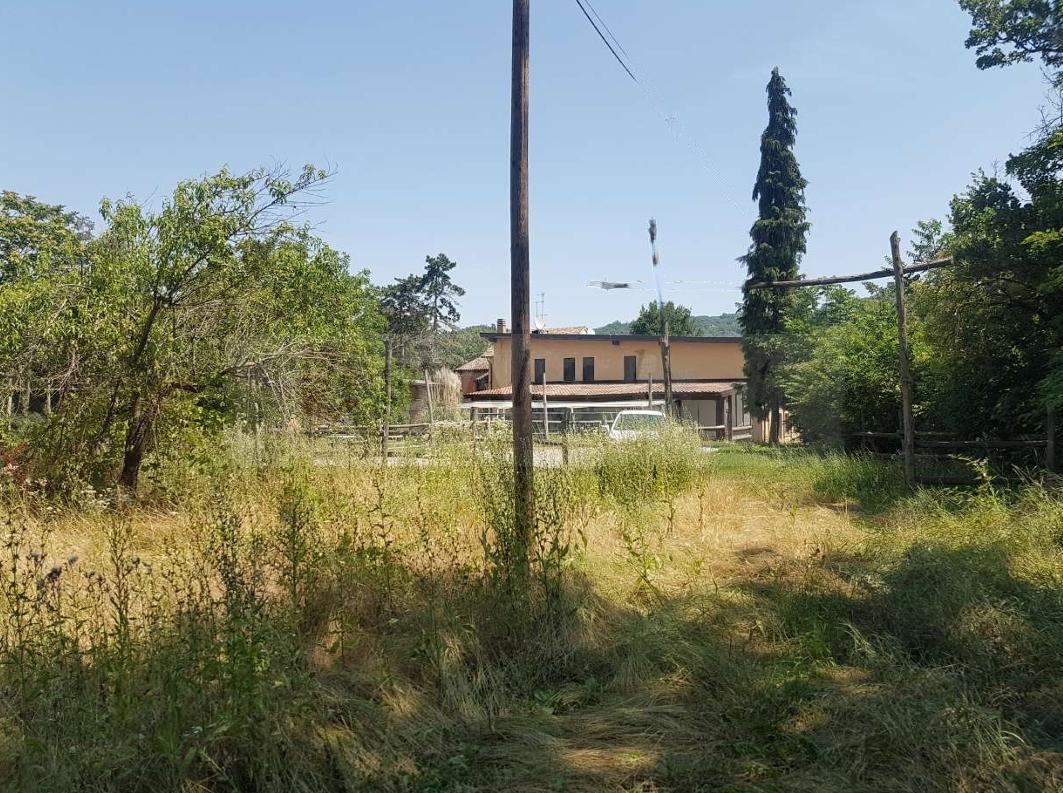 Negozio in vendita a Borgoratto Mormorolo