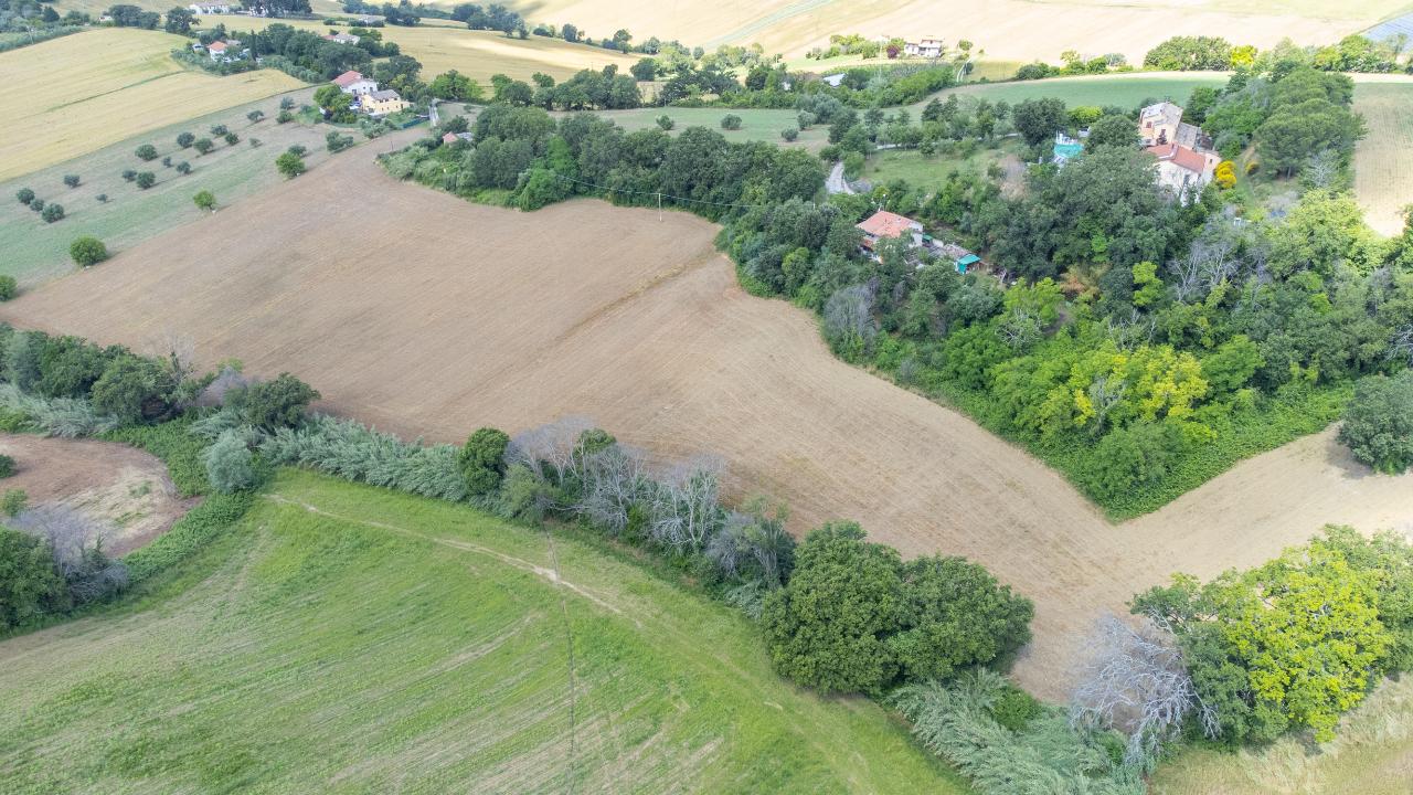 Terreno agricolo in vendita a Osimo