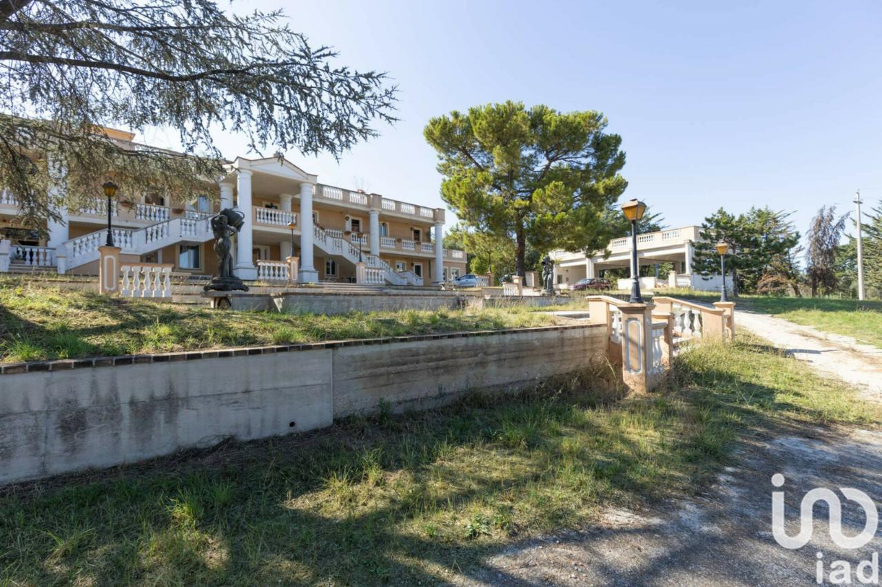 Azienda agricola in vendita a Rapagnano
