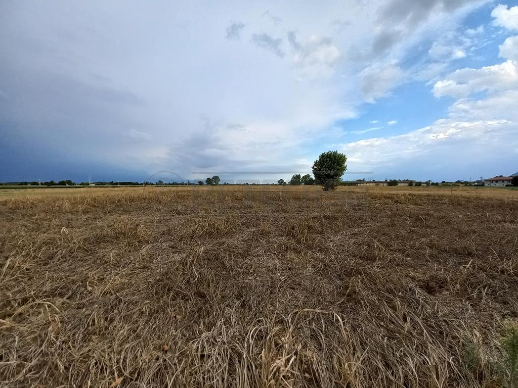 Rustico in vendita a Castegnero