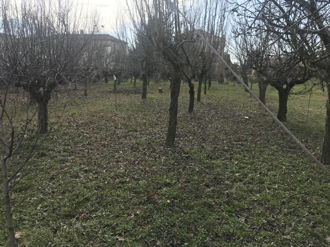 Terreno agricolo in vendita a Dolo