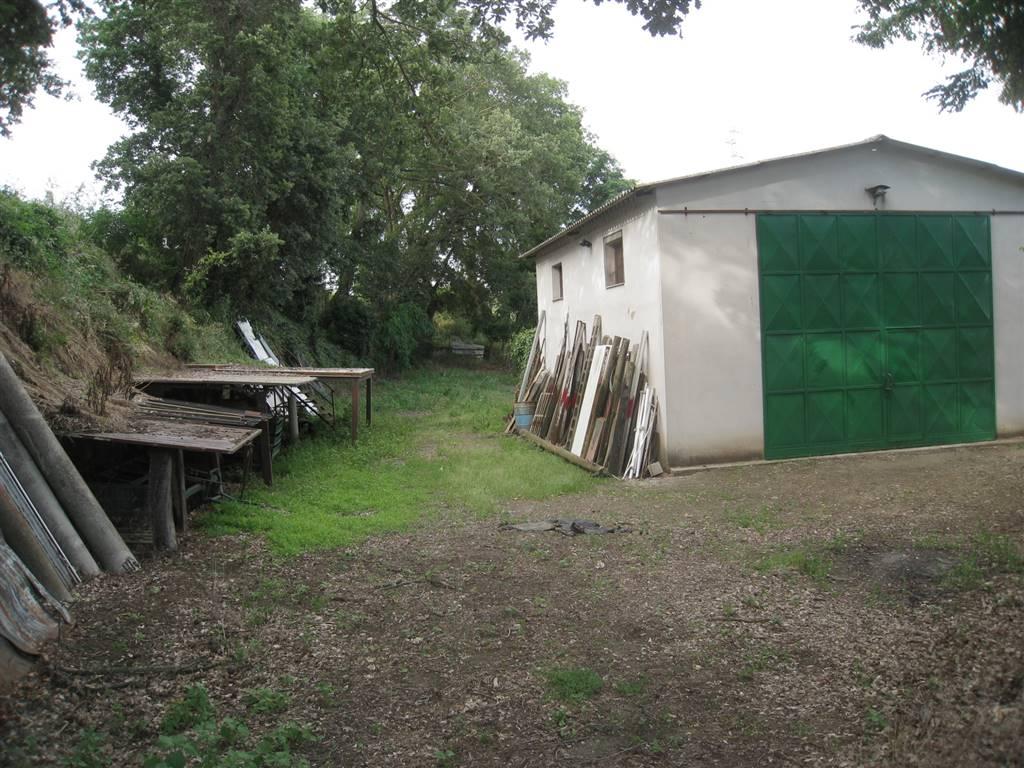 Magazzino in vendita a Montefiascone