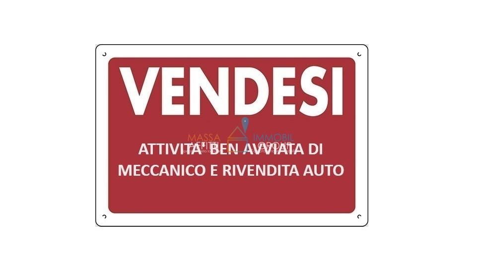 Capannone in vendita a Massa