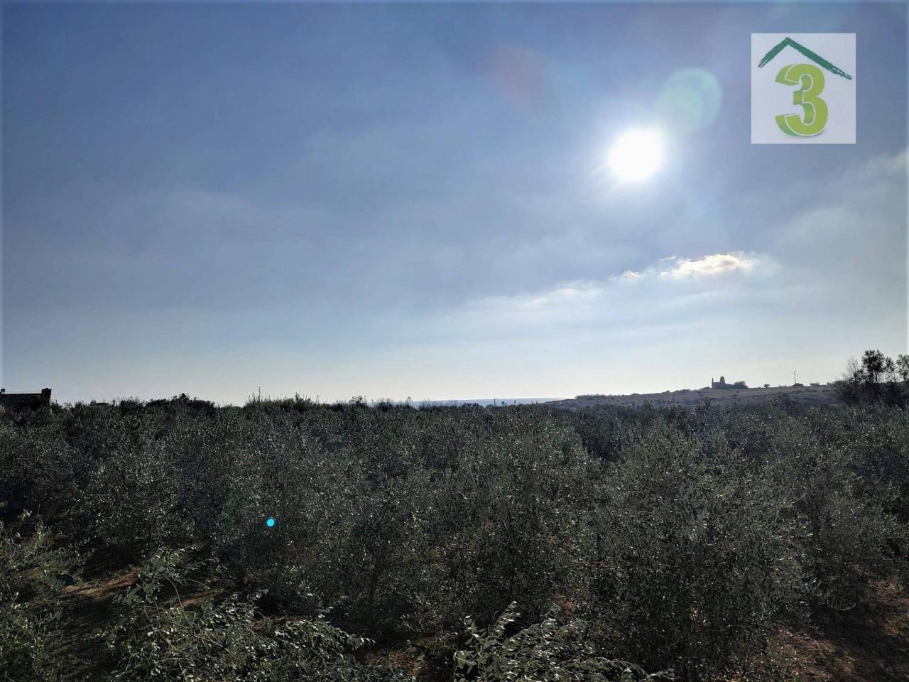 Terreno edificabile in vendita a Salve