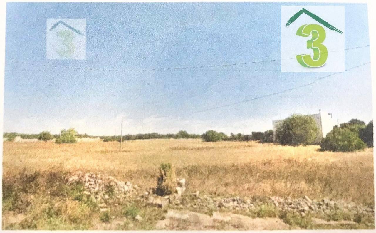 Terreno agricolo in vendita a Montesano Salentino