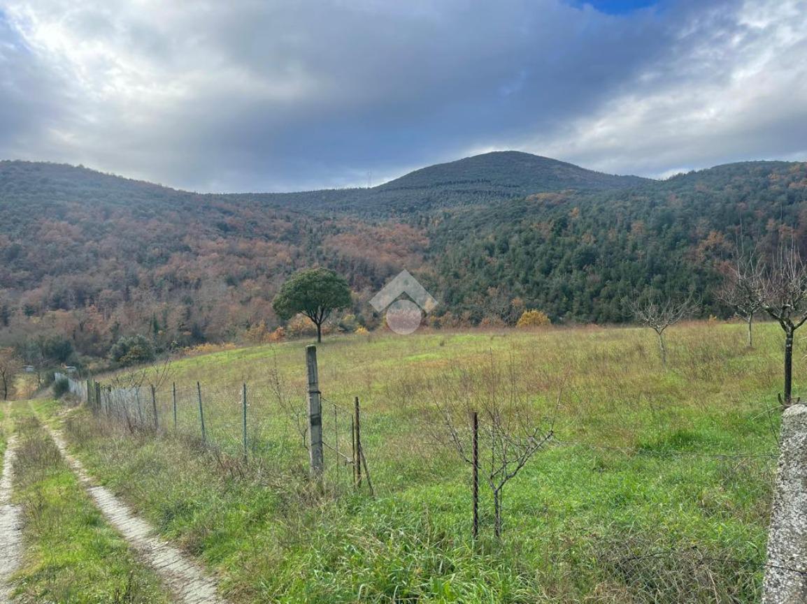Terreno agricolo in vendita a Amelia