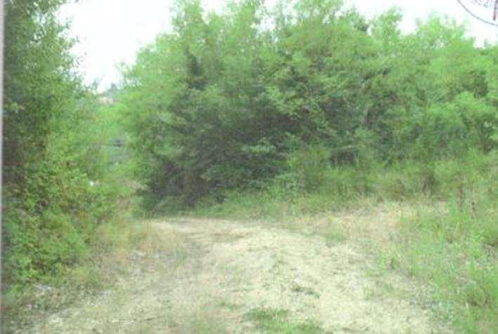 Terreno agricolo in vendita a Avellino