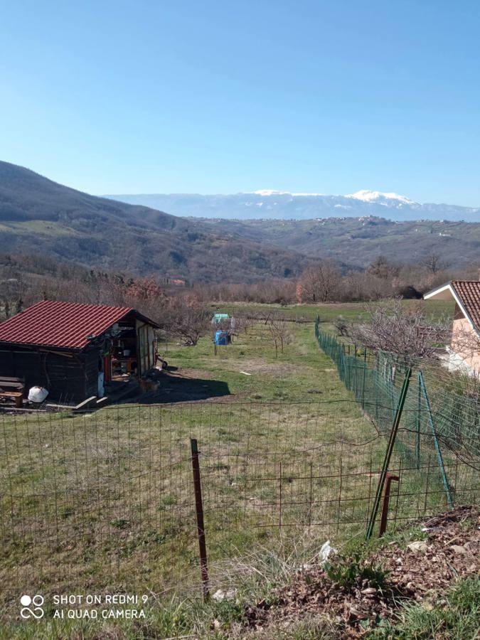 Terreno agricolo in vendita a Oratino