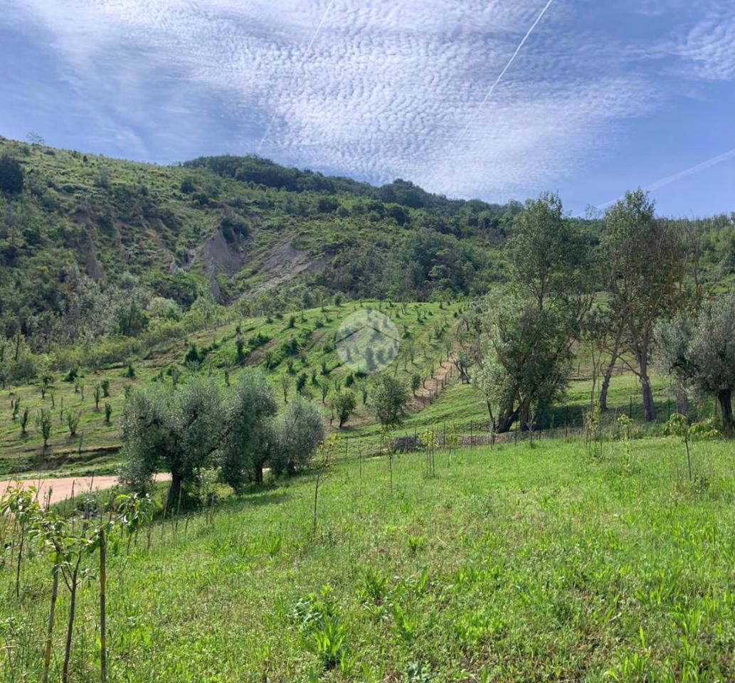 Terreno agricolo in vendita a Ripatransone