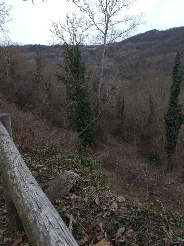 Terreno agricolo in vendita a Somano
