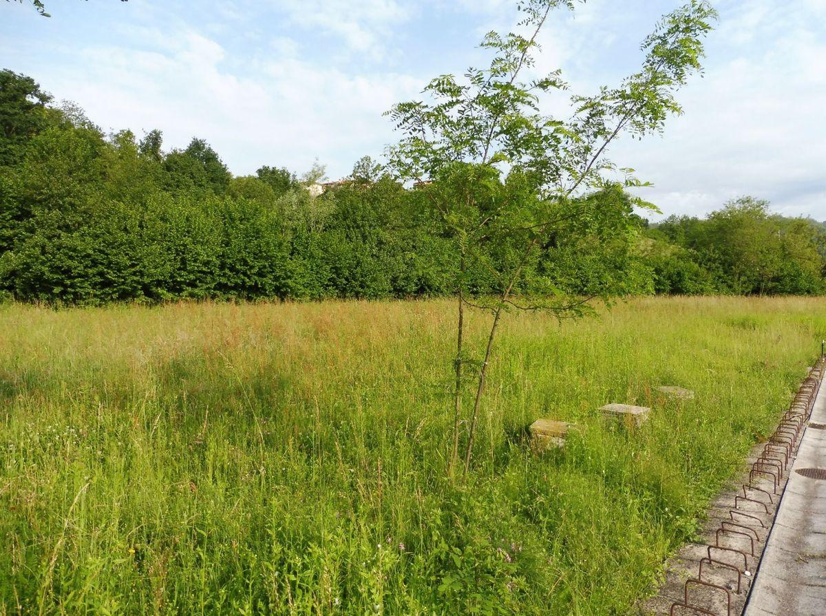 Terreno edificabile in vendita a Colceresa