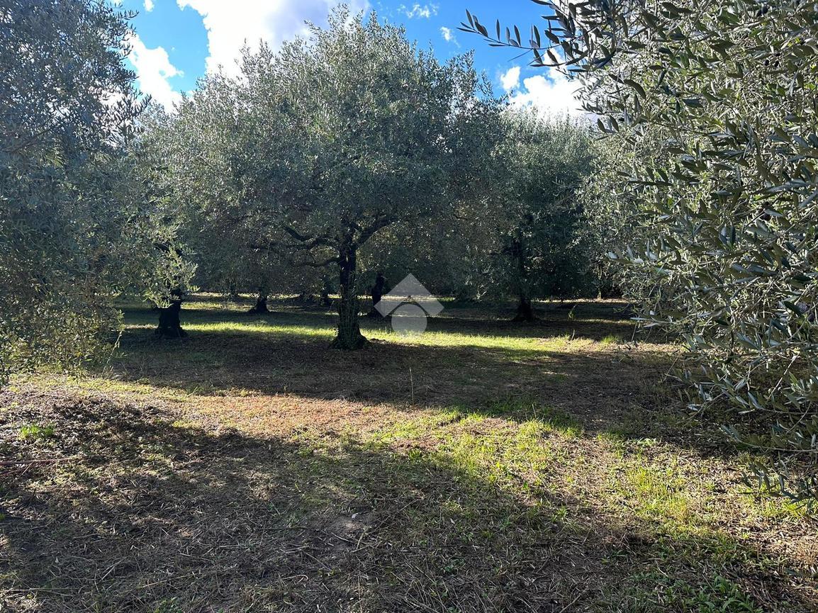 Terreno agricolo in vendita a Arco