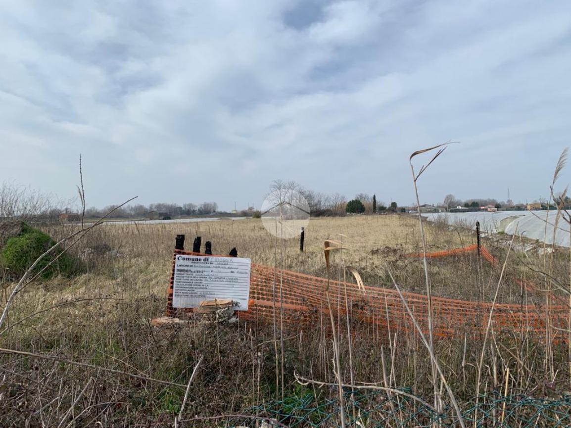 Terreno agricolo in Via F. Foscarini, Chioggia