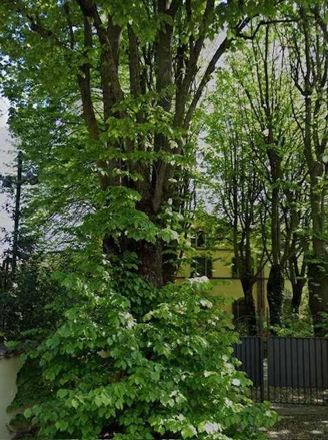 Villa unifamiliare in vendita a Podenzano