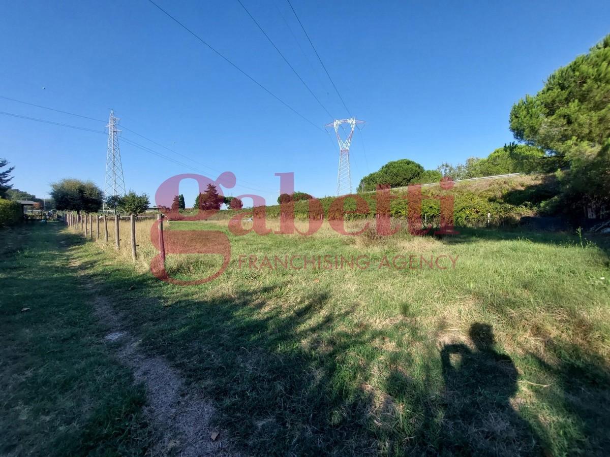 Terreno agricolo in vendita a Collesalvetti