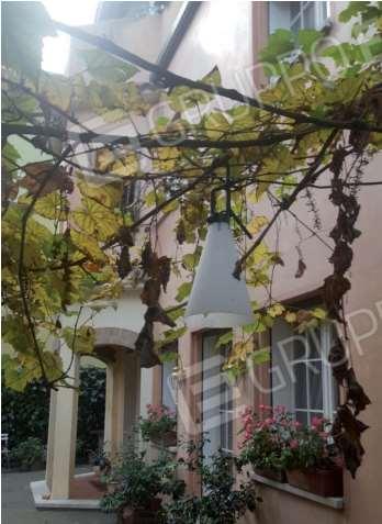 Villa unifamiliare in vendita a Venezia