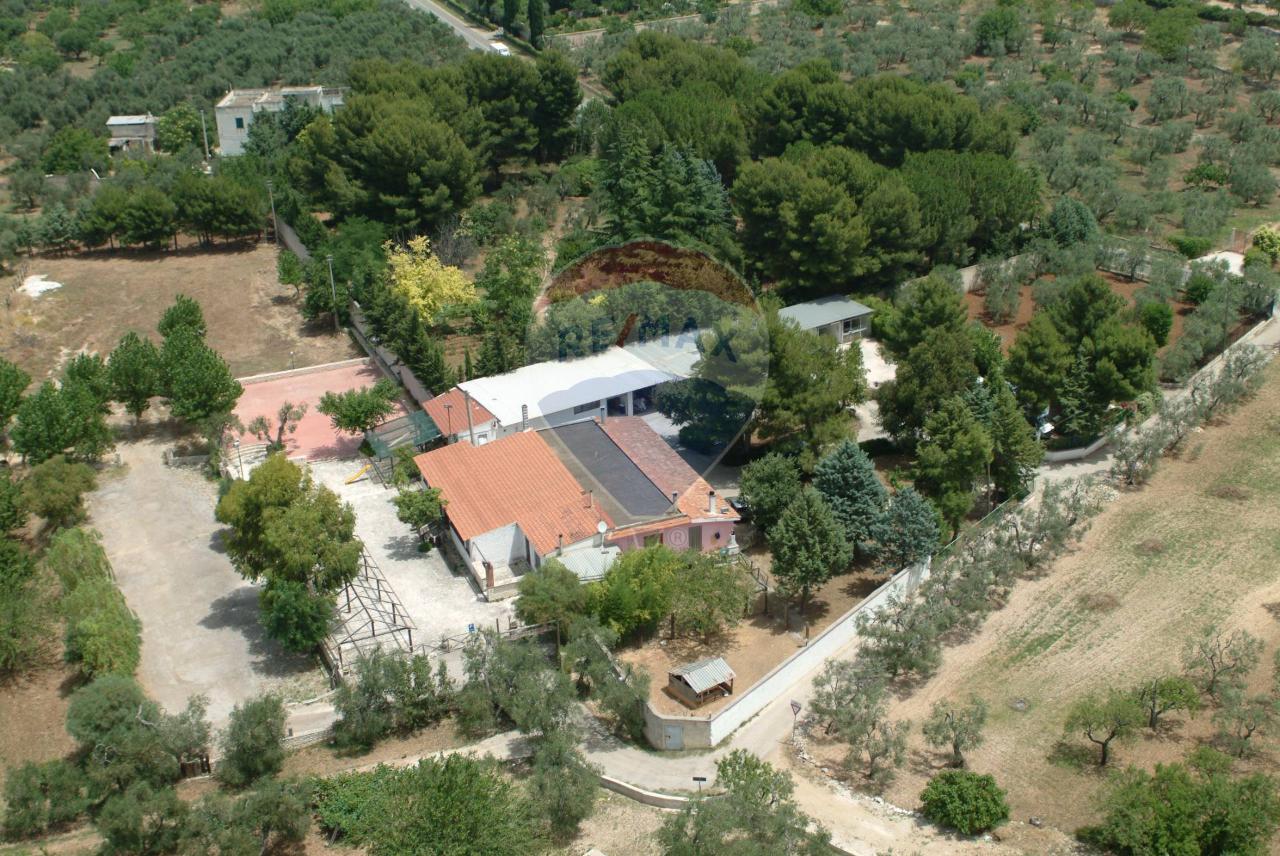 Terreno agricolo in vendita a Bitonto