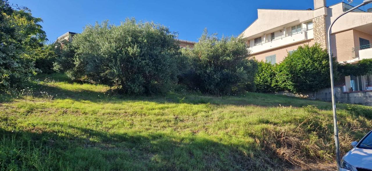 Terreno edificabile in vendita a Calvi