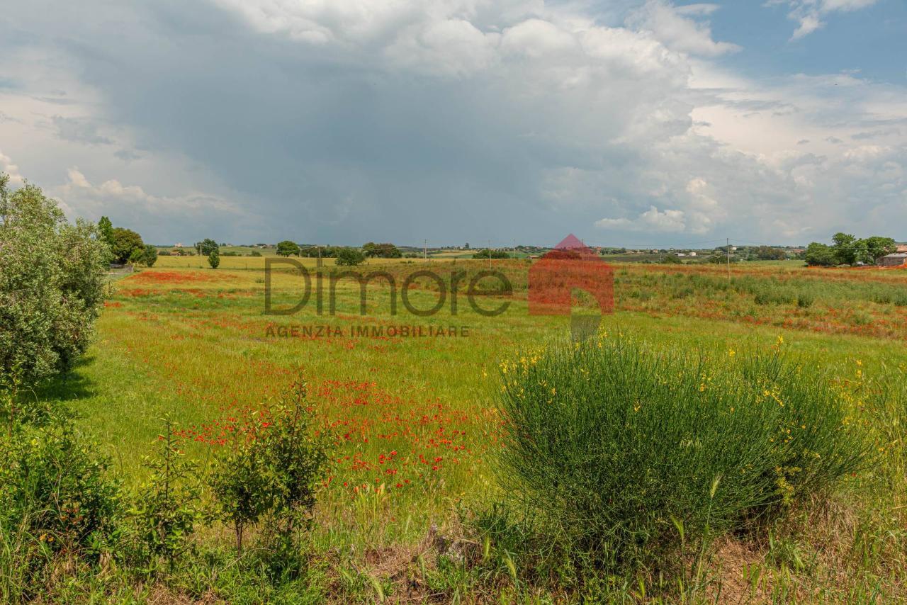 Terreno agricolo in vendita a Tarquinia
