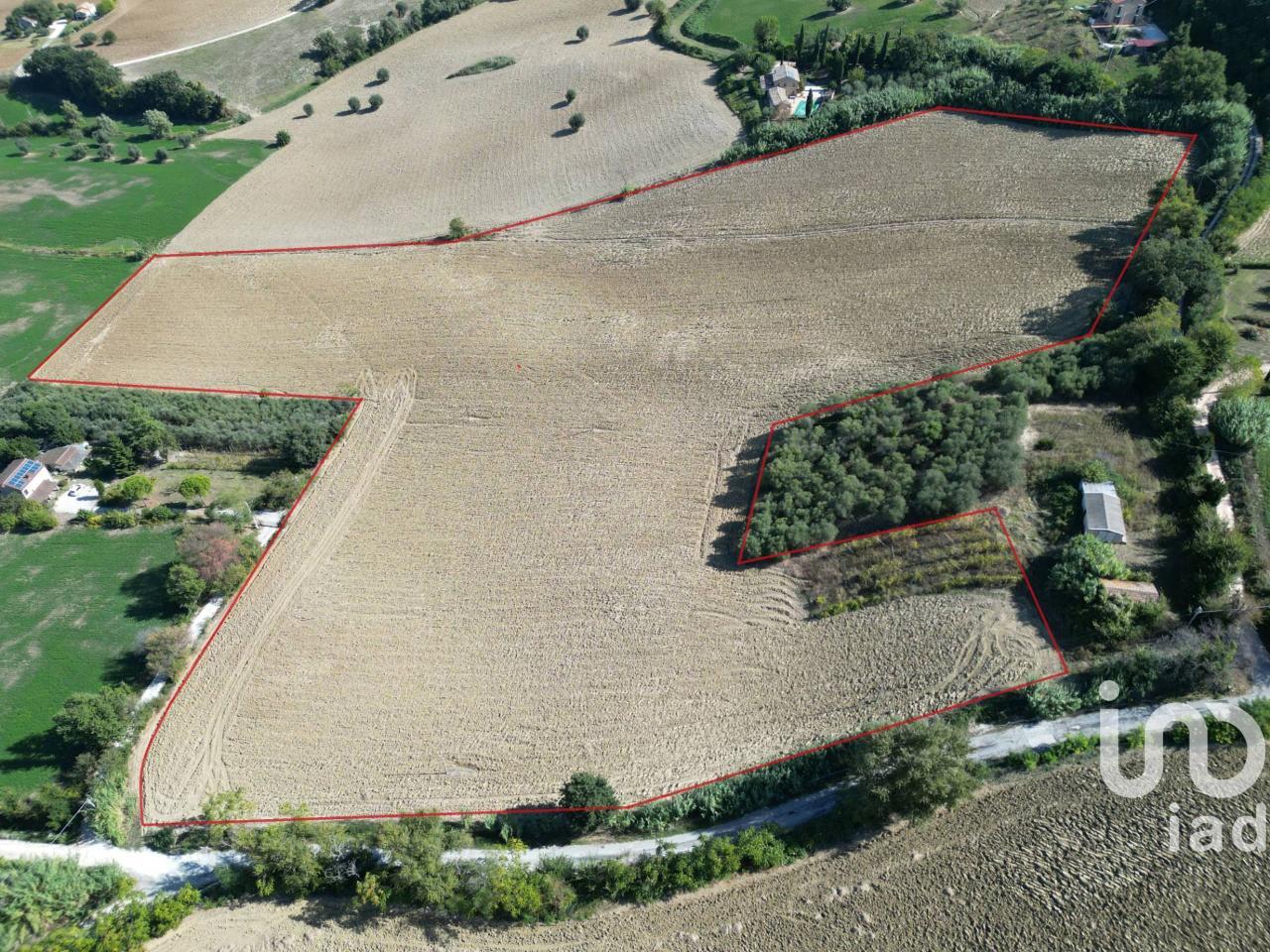 Terreno agricolo in vendita a Morrovalle