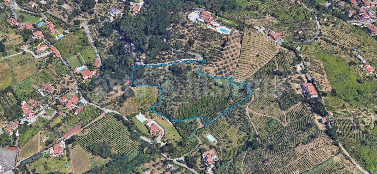 Terreno agricolo in vendita a Carrara