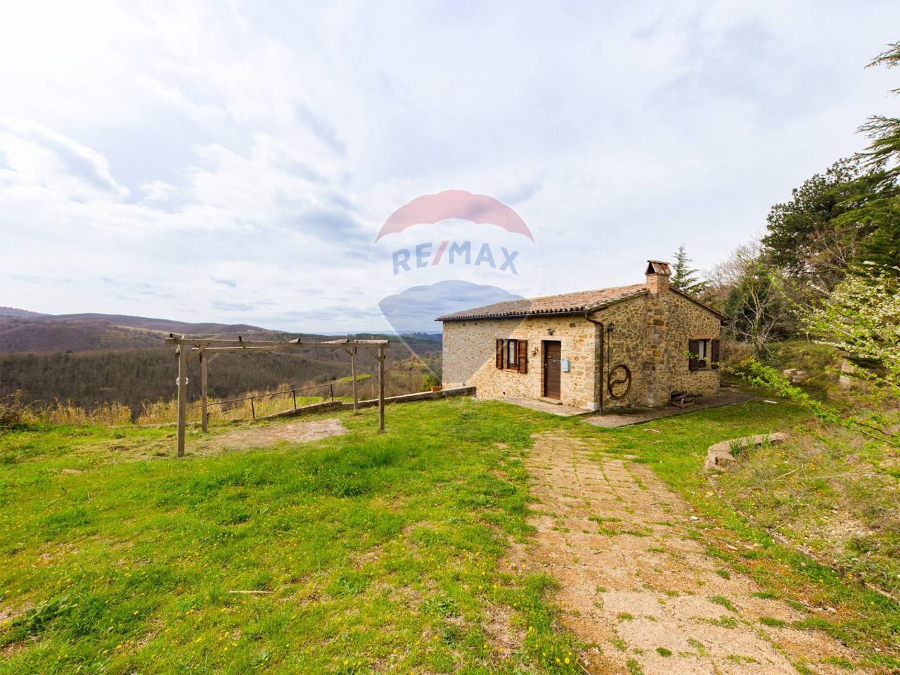 Azienda agricola in vendita a San Venanzo