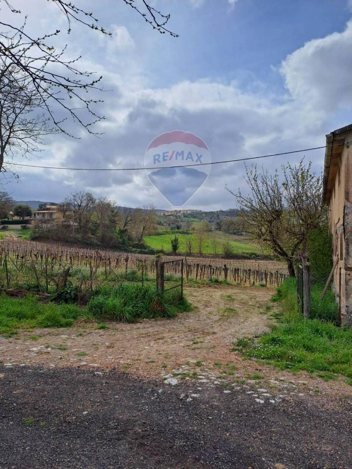 Terreno agricolo in vendita a Allerona