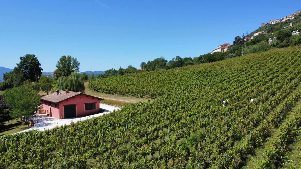 Cascina in vendita a Alvito