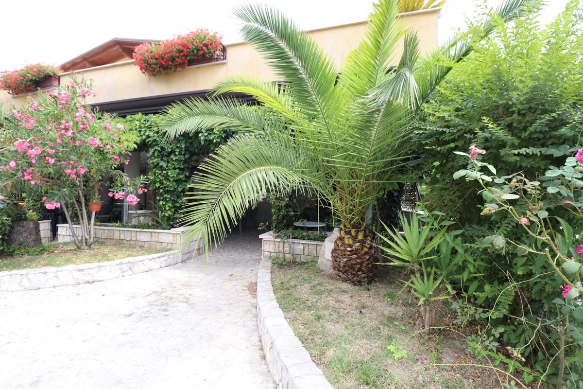 Negozio in affitto a Sora