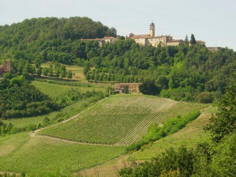Cascina in vendita a Serralunga Di Crea