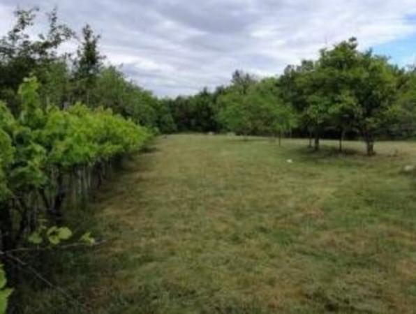 Terreno agricolo in vendita a Aprilia