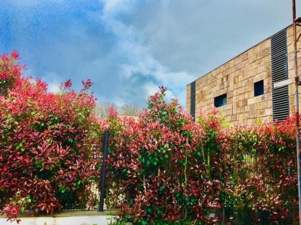 Villa bifamiliare in vendita a Sutri