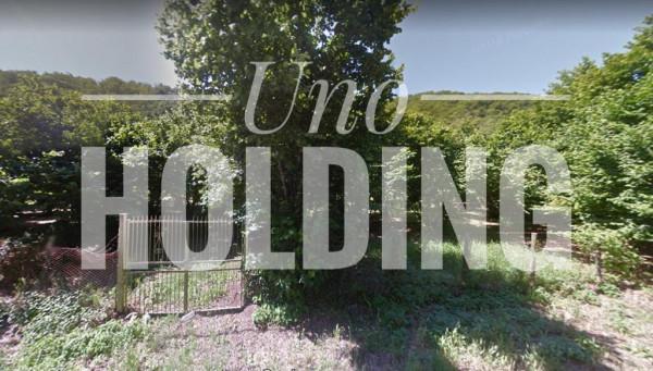 Terreno agricolo in vendita a Ronciglione