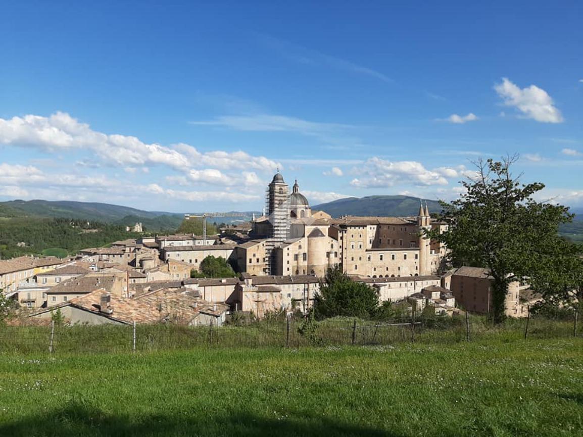 Appartamento in vendita a Urbino