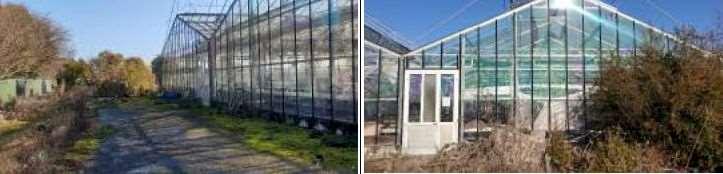 Terreno agricolo in vendita a Zenson Di Piave