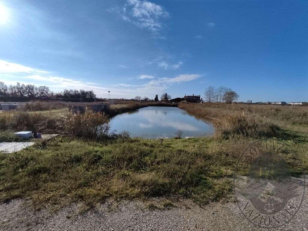 Terreno agricolo in vendita a Carlino