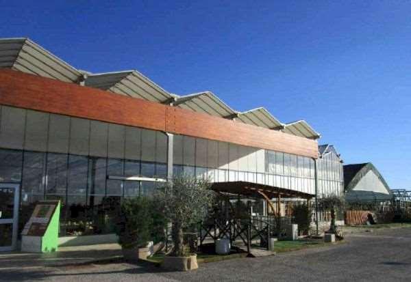 Capannone in vendita a Pradamano