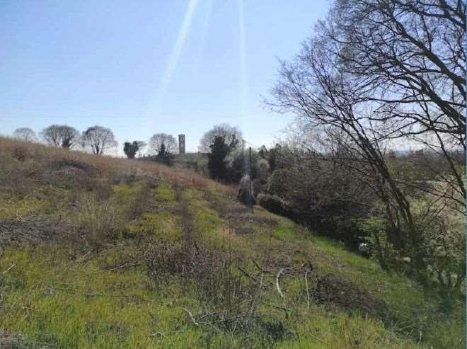 Terreno agricolo in vendita a Longare