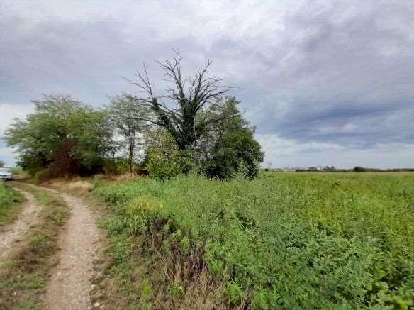 Terreno agricolo in vendita a Udine