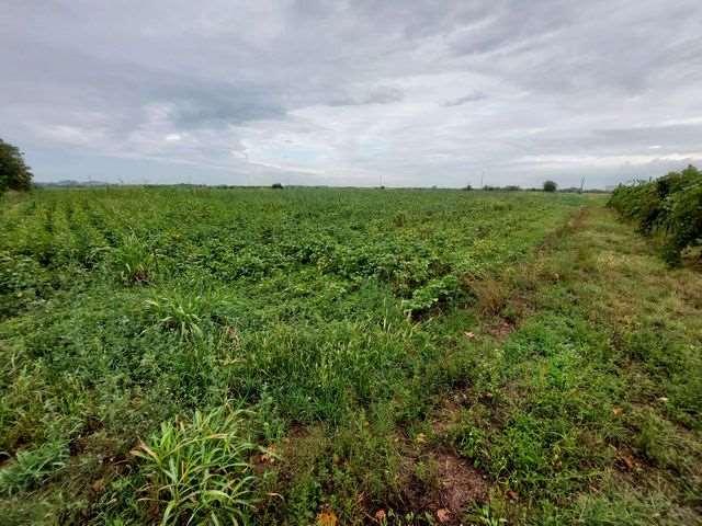 Terreno agricolo in vendita a Udine