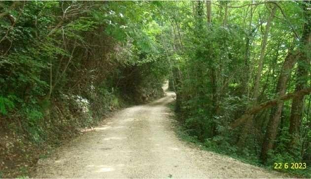 Terreno agricolo in vendita a Vittorio Veneto