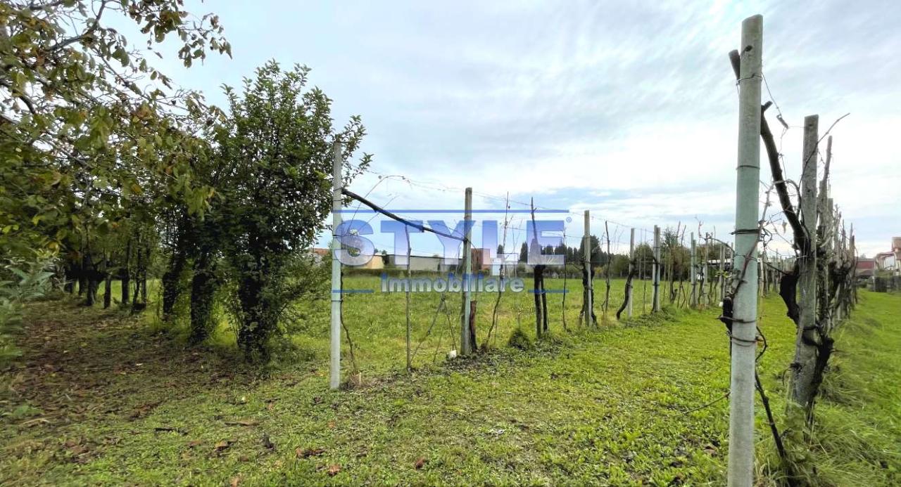 Terreno agricolo in vendita a Dolo