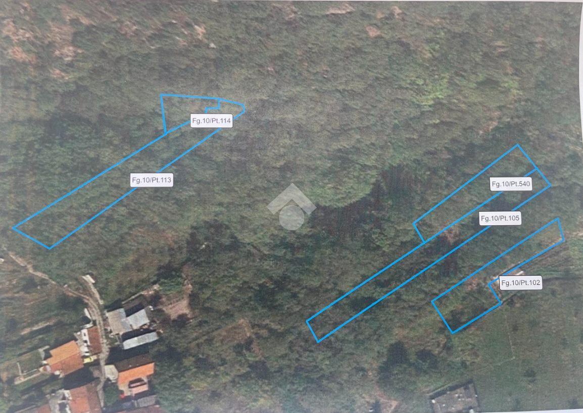 Terreno agricolo in vendita a Borgone Susa